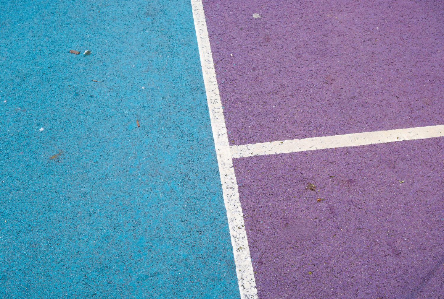 Merch – Rocky Mountain PIKL